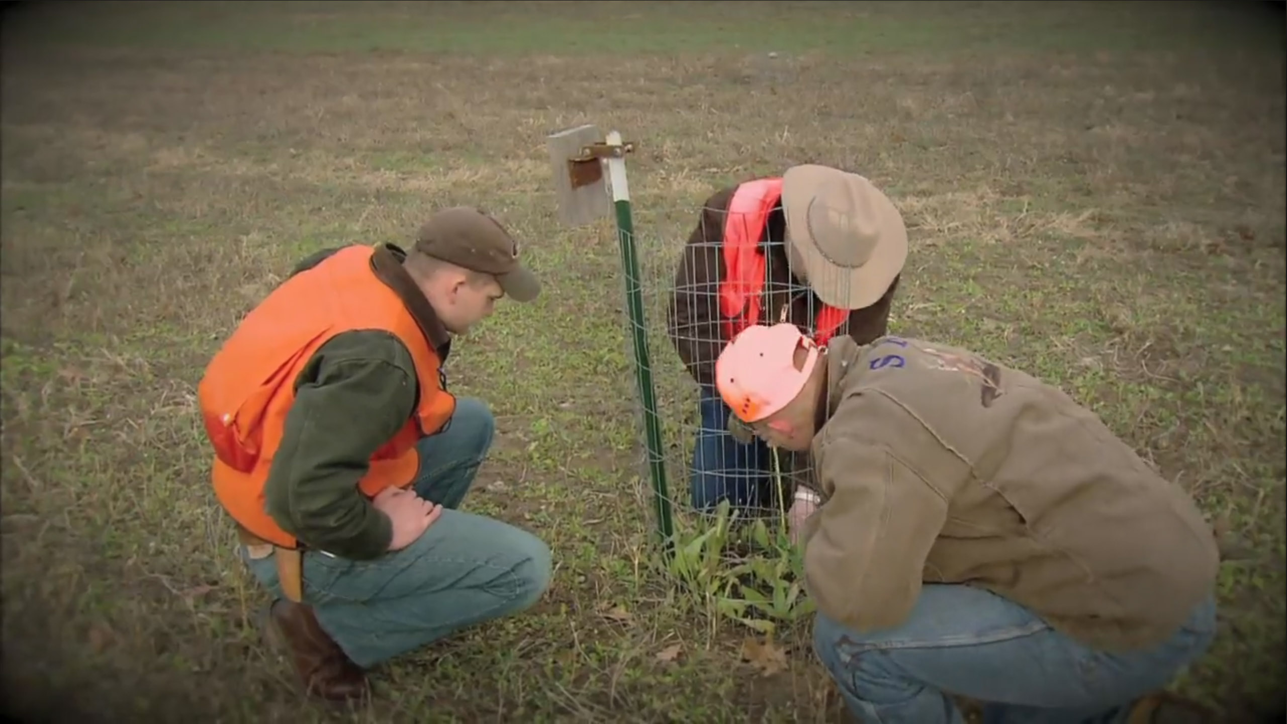 Dr. Deer: What Can Exclusion Cages Tell Us? - North American Whitetail
