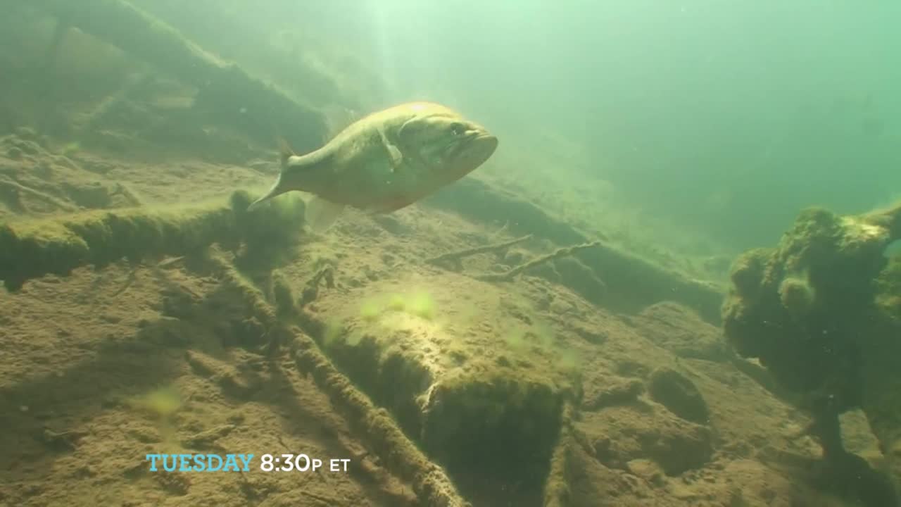 Lindner's Angling Edge - World Fishing Network