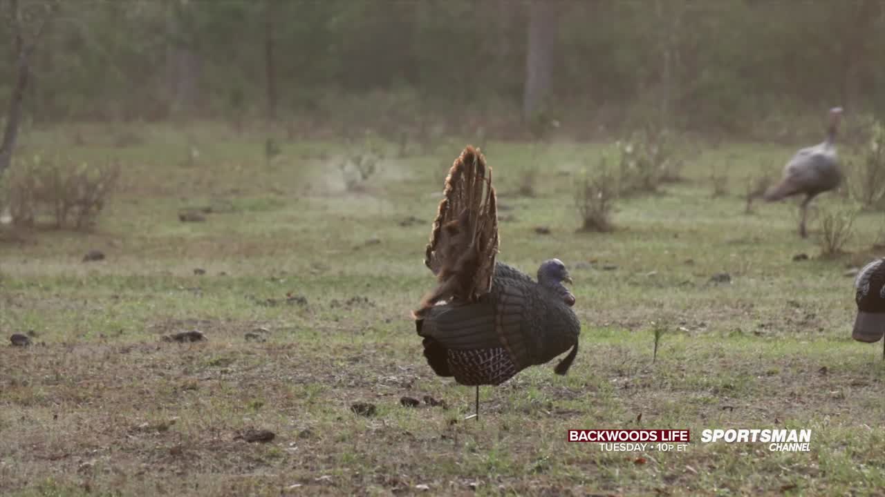 Backwoods Life - Sportsman Channel