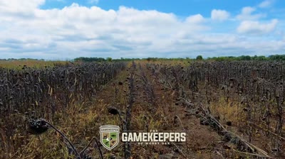 Where to put a Dove Field - Outdoor Channel