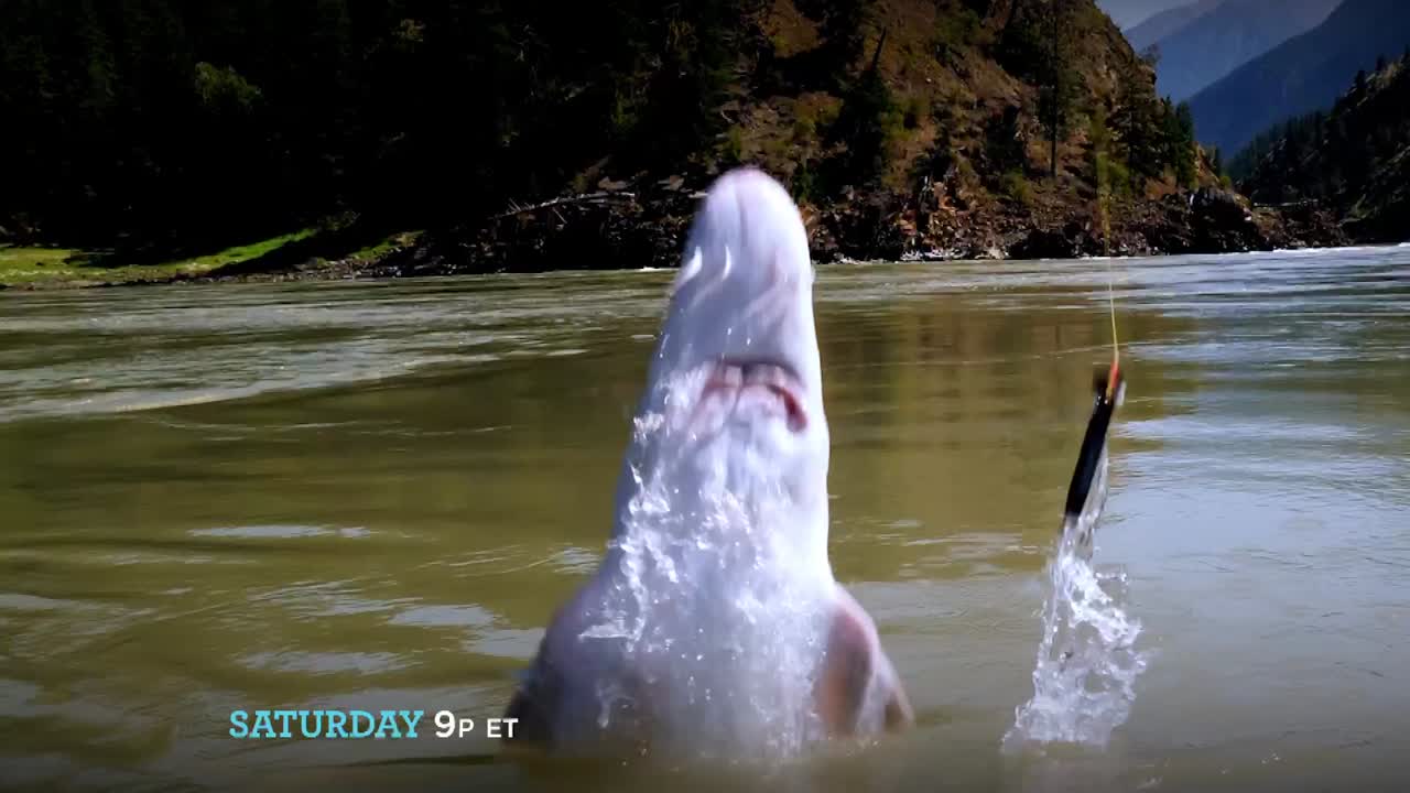 Trev Gowdy's Monster Fish - World Fishing Network