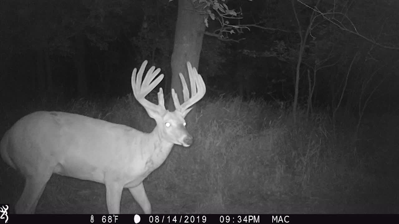 Whitetail Freaks - Outdoor Channel