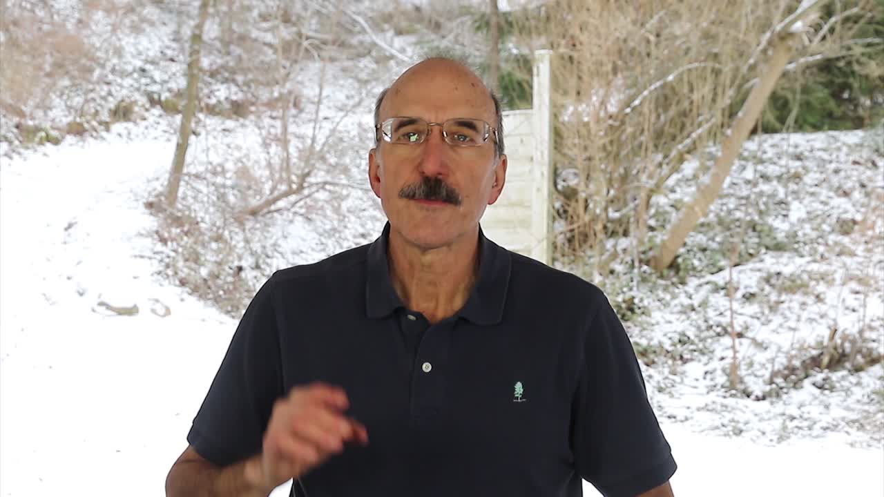 Patrick Sweeney Reviews the SIG P210 Standard – Video - Firearms News