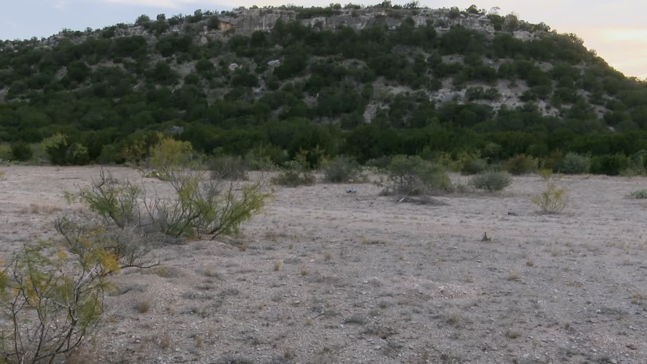 Predator Pursuit Teaser: Full Moon Fox - Sportsman Channel