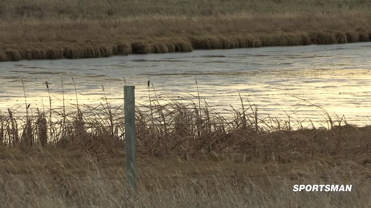 North American Whitetail Preview: Canadian Whitetail in Albe ...