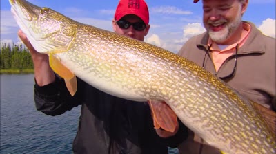 Biggest Pike of All Time - In-Fisherman