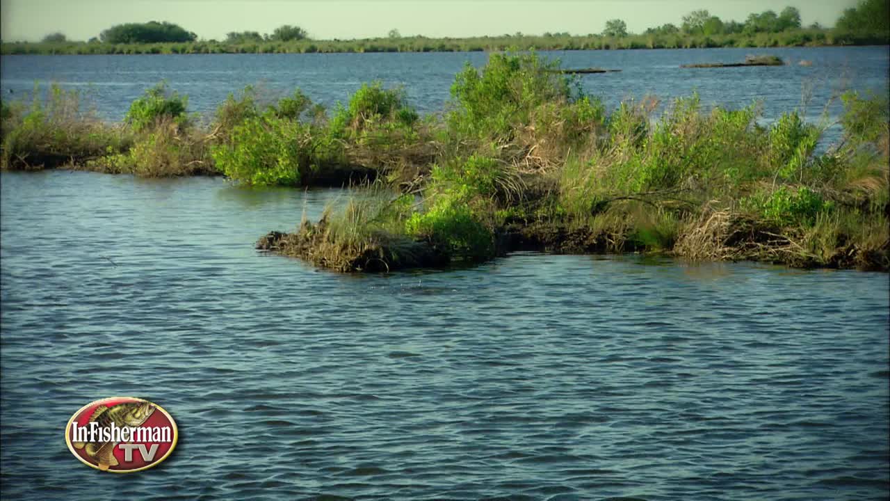 Shallow Water Redfish Rigs - In-Fisherman