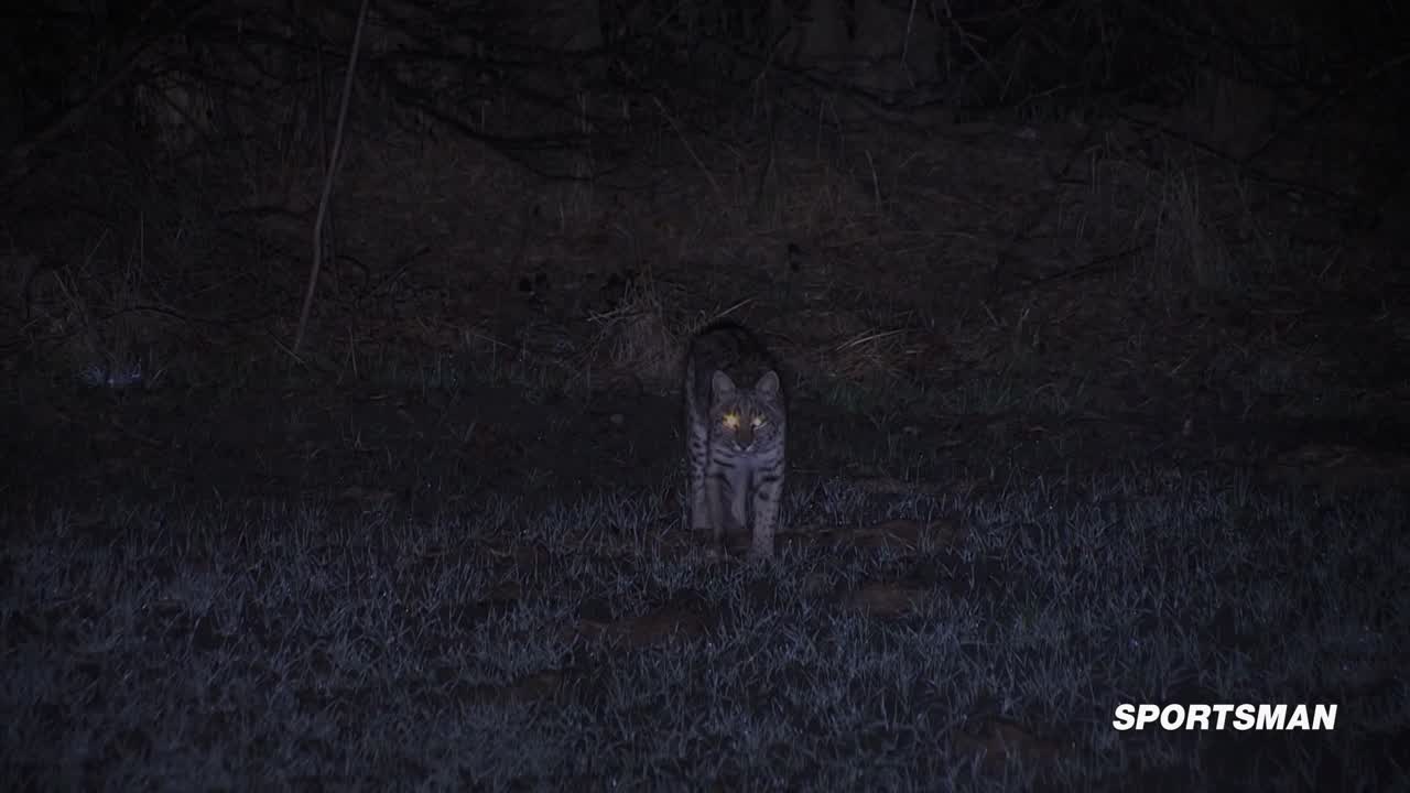 Night Crew - Sportsman Channel