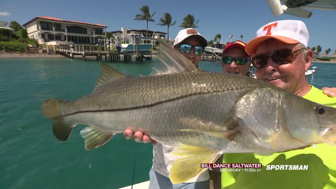 Bill Dance Saltwater - Sportsman Channel