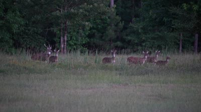 Double Drop Ranch - Sportsman Channel