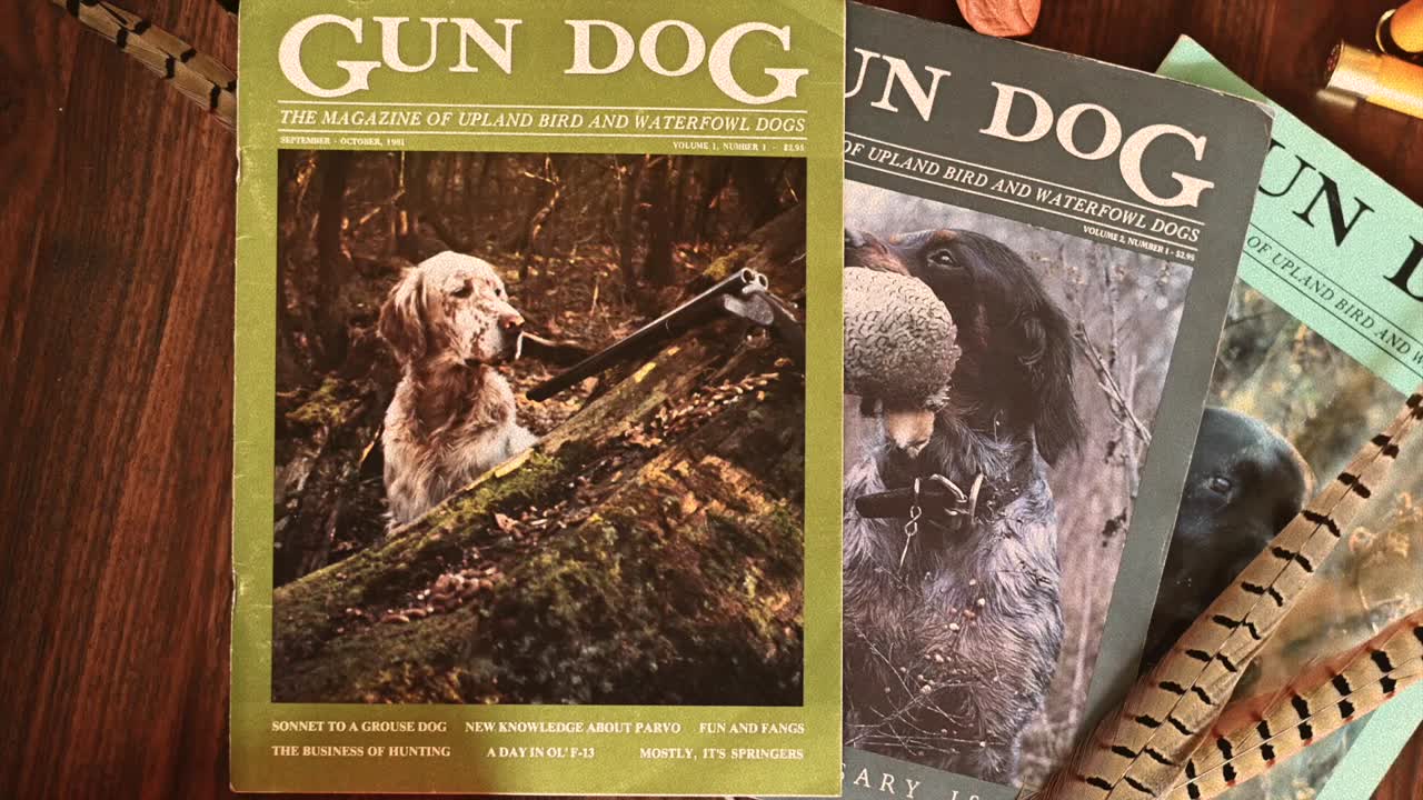 Gun Dog Celebrates 40th Anniversary - Gun Dog