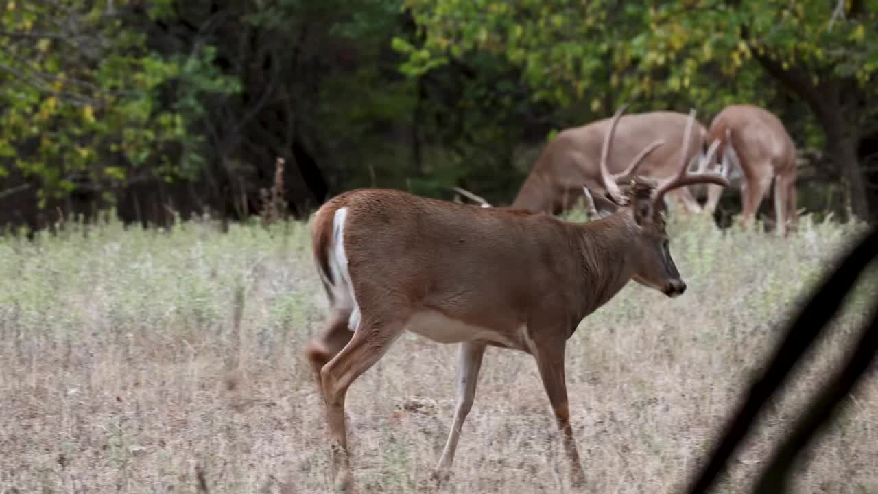BuckVentures - Outdoor Channel