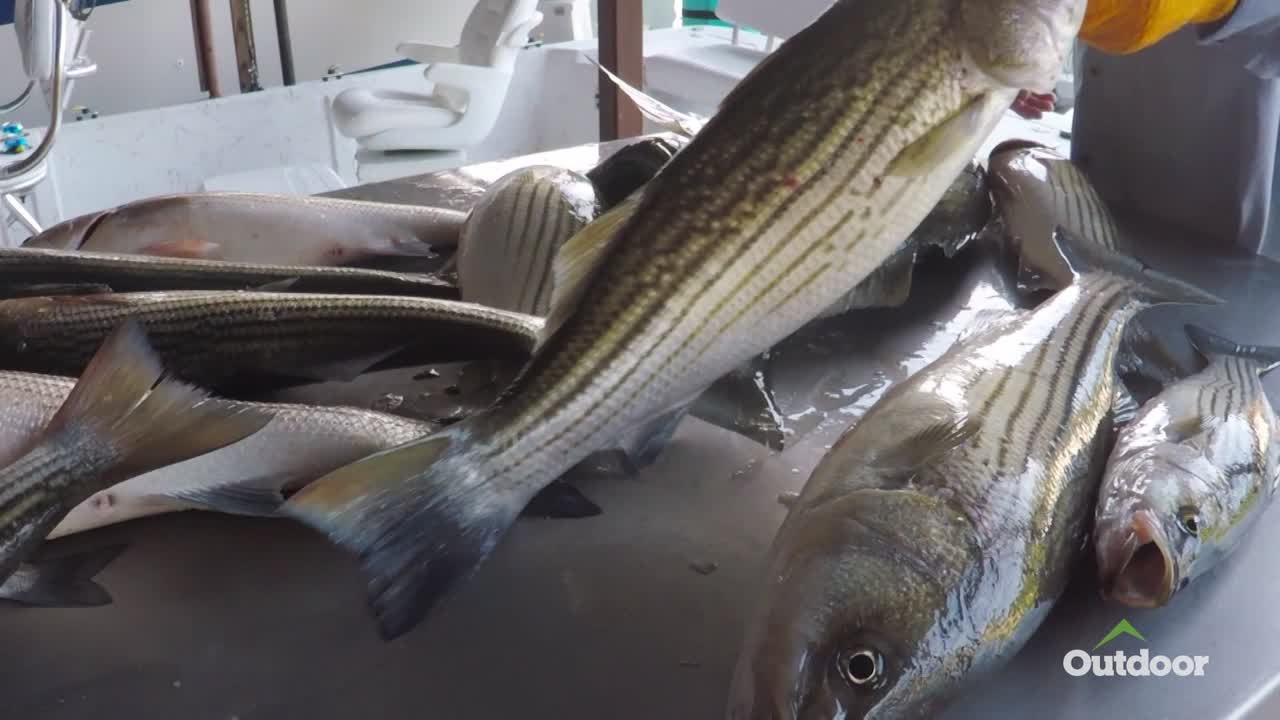 The Fishmonger - Outdoor Channel