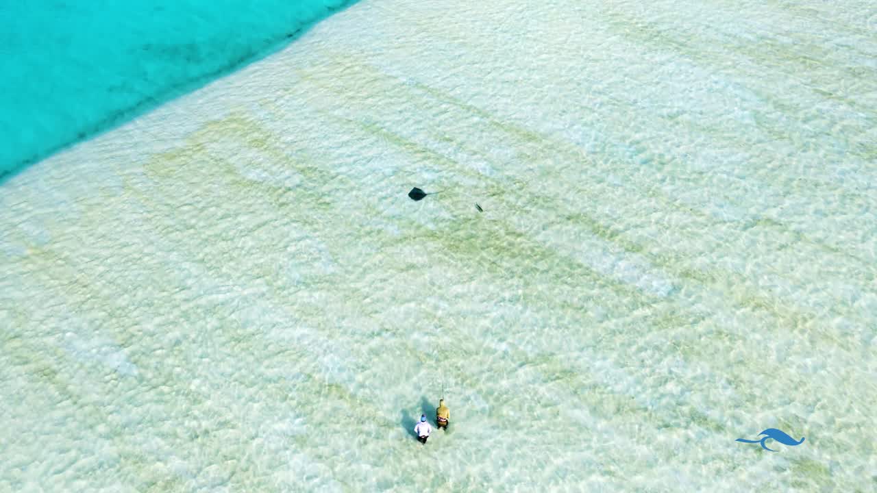 Ross Purnell on G. Loomis's Updated Asquith Rods - Fly Fisherman