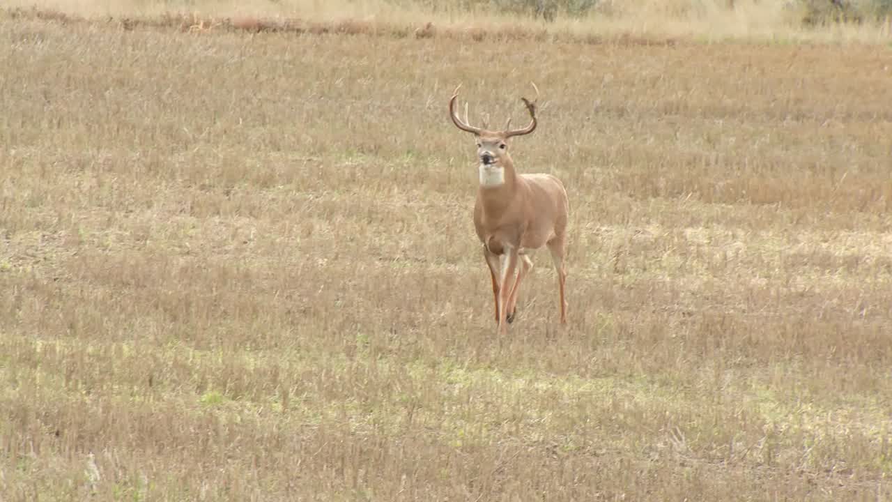 Realtree Outdoors - Outdoor Channel