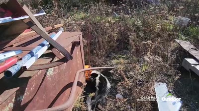 Dead Meat - Outdoor Channel