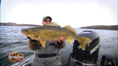 Big Water Walleyes - In-Fisherman