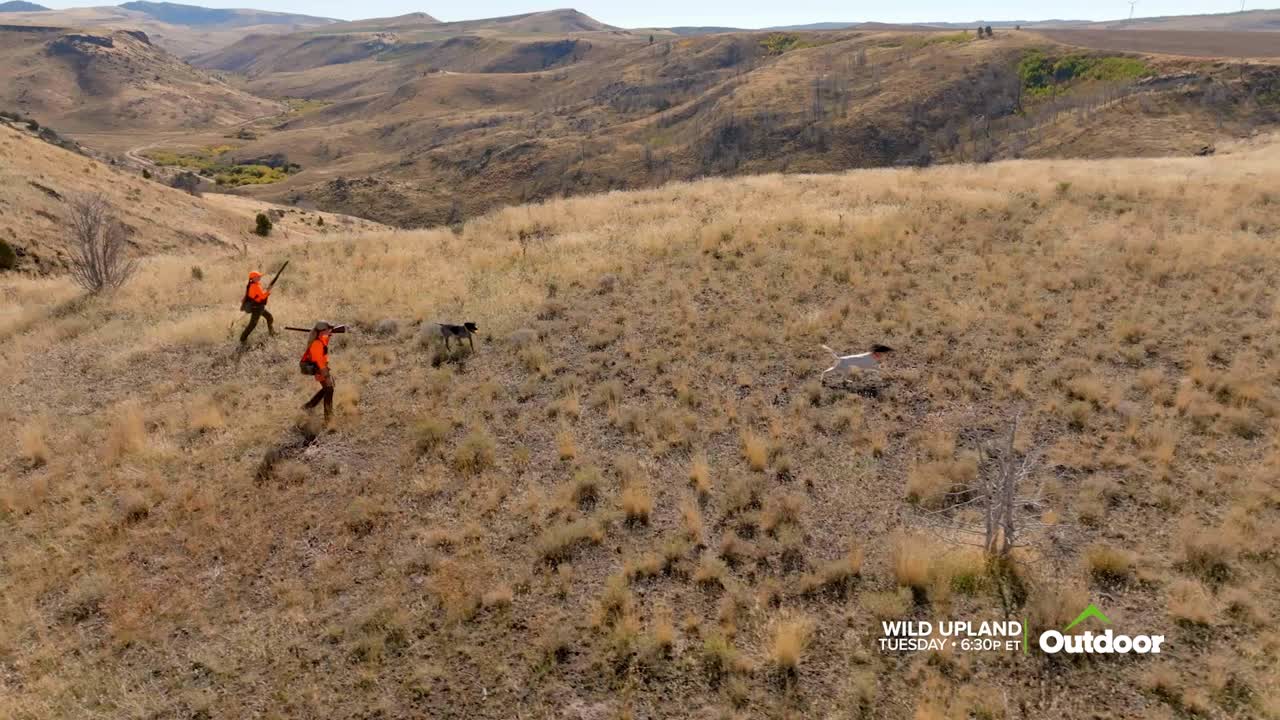 Wild Upland - Outdoor Channel
