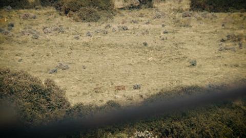 Pigman: The Series - Sportsman Channel