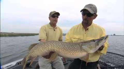 The Best Pike Lure Design Ever? - In-Fisherman