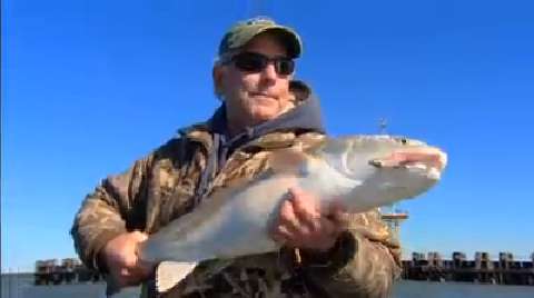 Redfish Systems Defined - In-Fisherman