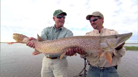 Secrets for Reservoir Pike - In-Fisherman