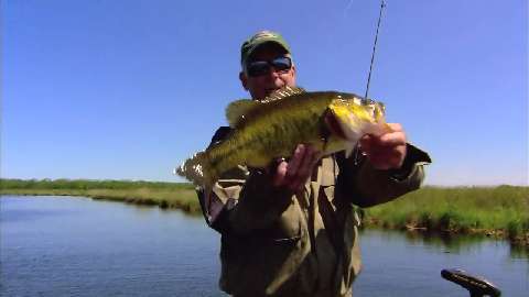 Weighted Crawfish for Largemouth Bass - In-Fisherman