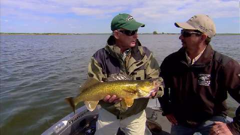 Swimmer Systems for Walleyes - In-Fisherman