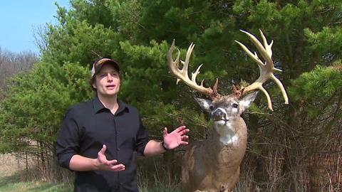 Big Buck Profile: Tracking an Ohio Buck - North American Whitetail