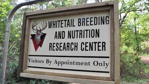 Deer Factory: Growing Nutritious Forage - North American Whitetail