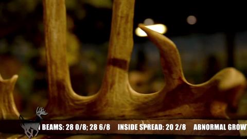 Big Buck Profile: Kentucky 23-Pointer - North American Whitetail