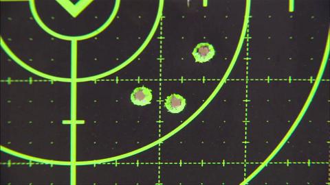 TruGlo TruSee Targets - Guns and Ammo
