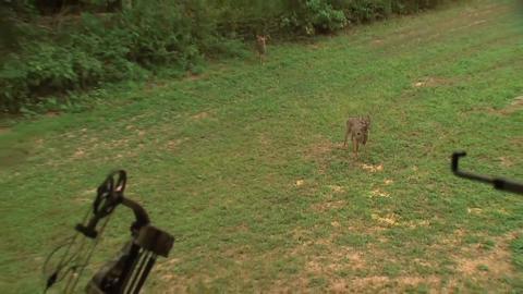 Stan Potts Exercises Patience in Kentucky - North American Whitetail