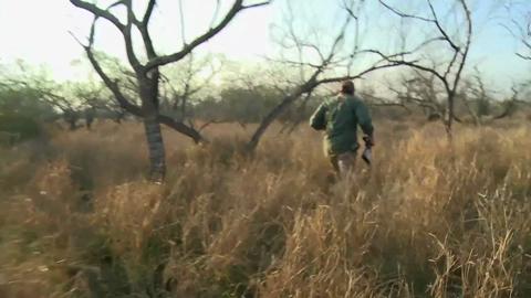 Hunting Tough Texas Nilghai - Petersen's Hunting