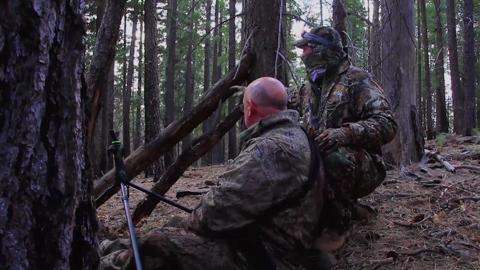 Apache Black Bear Hunt - Petersen's Hunting