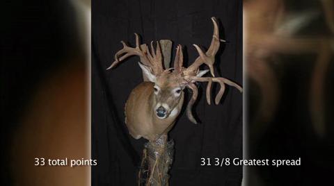 Iowa's Most Unusual Trophy Buck Ever? - North American Whitetail