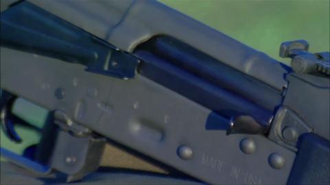 IO STG 2000C - Guns and Ammo