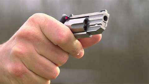 LaserLyte Mighty Mouse - Guns and Ammo