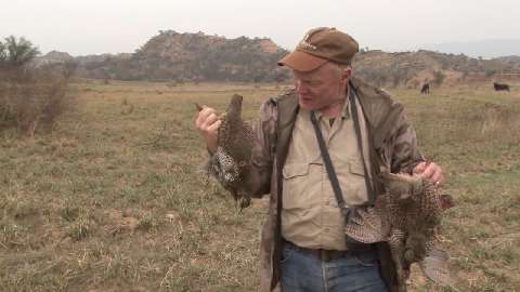 Partridge Hunting in Pakistan - Petersen's Hunting