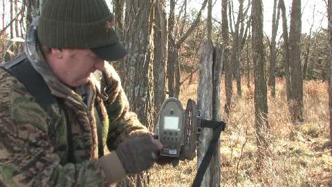 From the Stand: Time Lapse Trail Cams - North American Whitetail