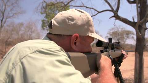 Zimbabwe Plains Game Hunt - Petersen's Hunting