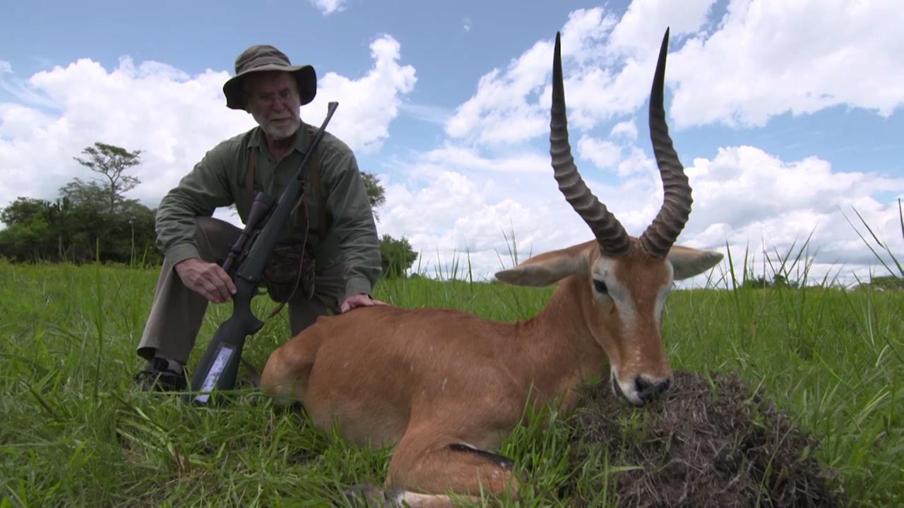 Kob and Nile Bushbuck in Uganda - Petersen's Hunting