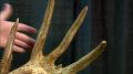 The Johnny King Buck: The Wisconsin 'If' Legend - North American Whitetail